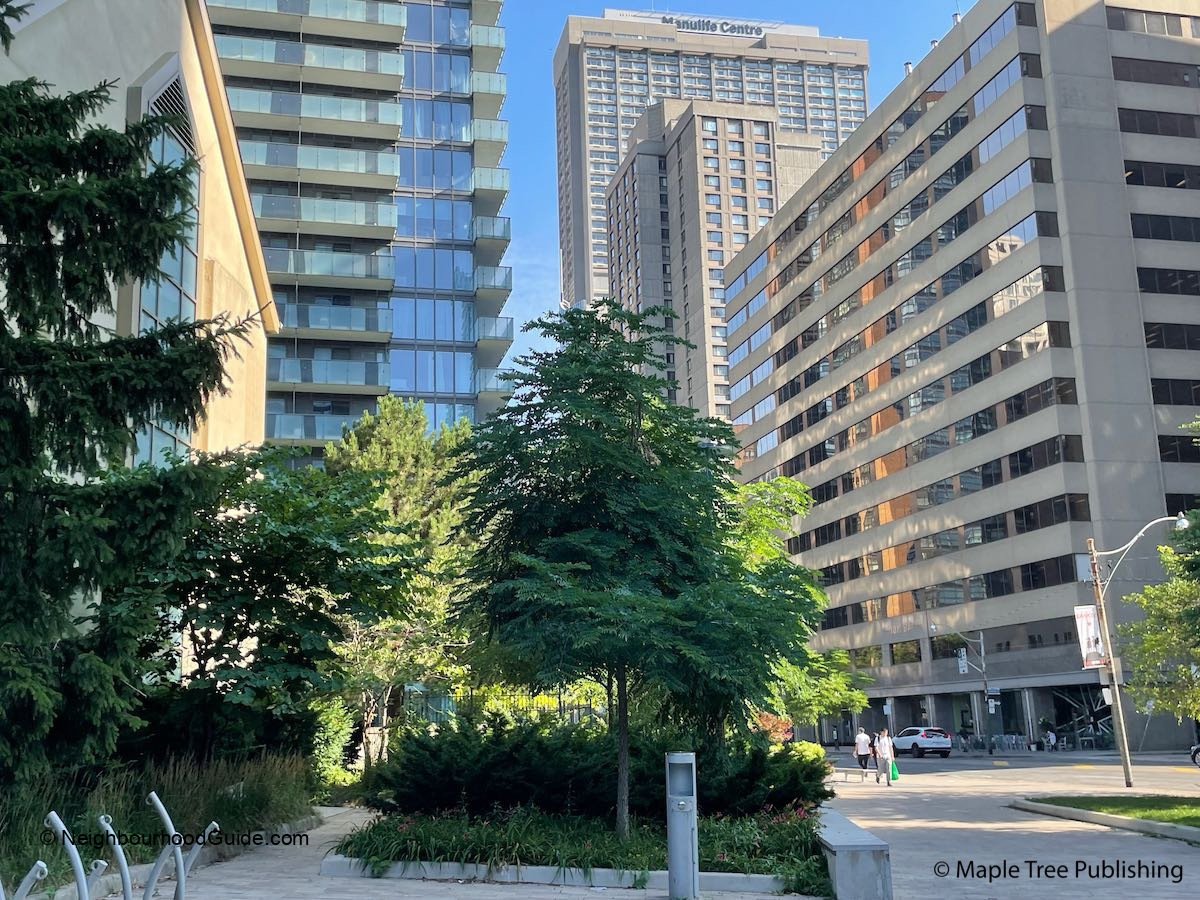Bay Street Corridor - Neighbourhood Guide