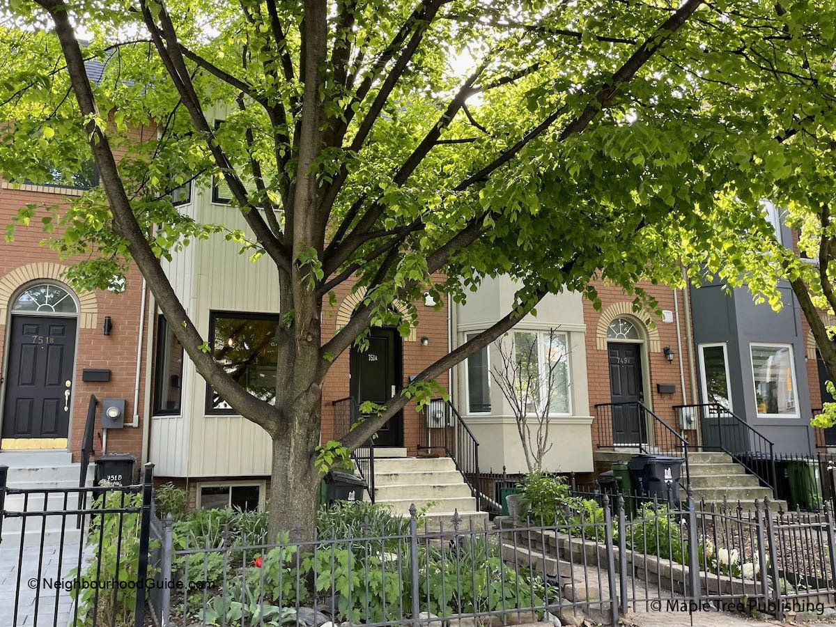 Christie Pits - Neighbourhood Guide