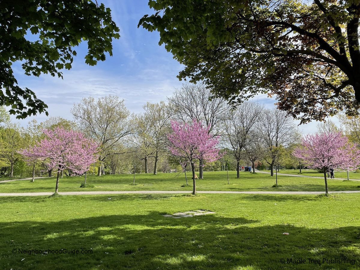 Christie Pits - Neighbourhood Guide