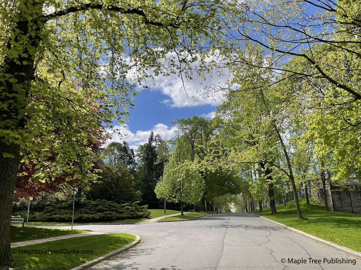 Forest Hill - Neighbourhood Guide