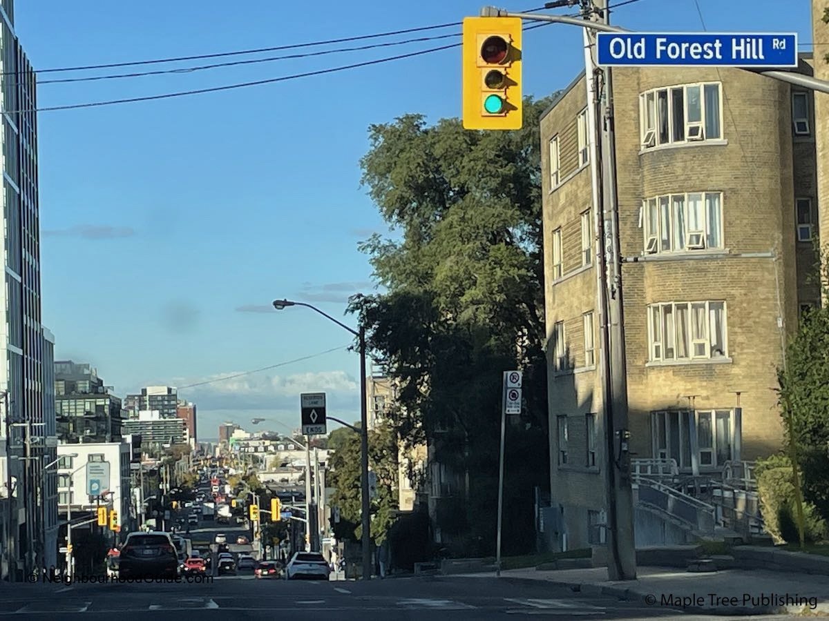 Forest Hill - Neighbourhood Guide