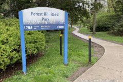 Forest Hill - Neighbourhood Guide