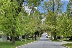 Forest Hill - Neighbourhood Guide