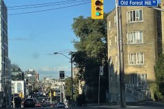 Forest Hill - Neighbourhood Guide