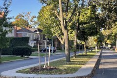 Forest Hill - Neighbourhood Guide