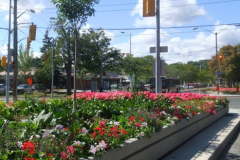 Guildwood - Neighbourhood Guide