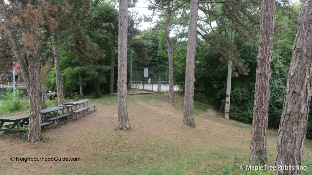 High Park - Neighbourhood Guide