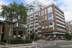 High Park - Neighbourhood Guide