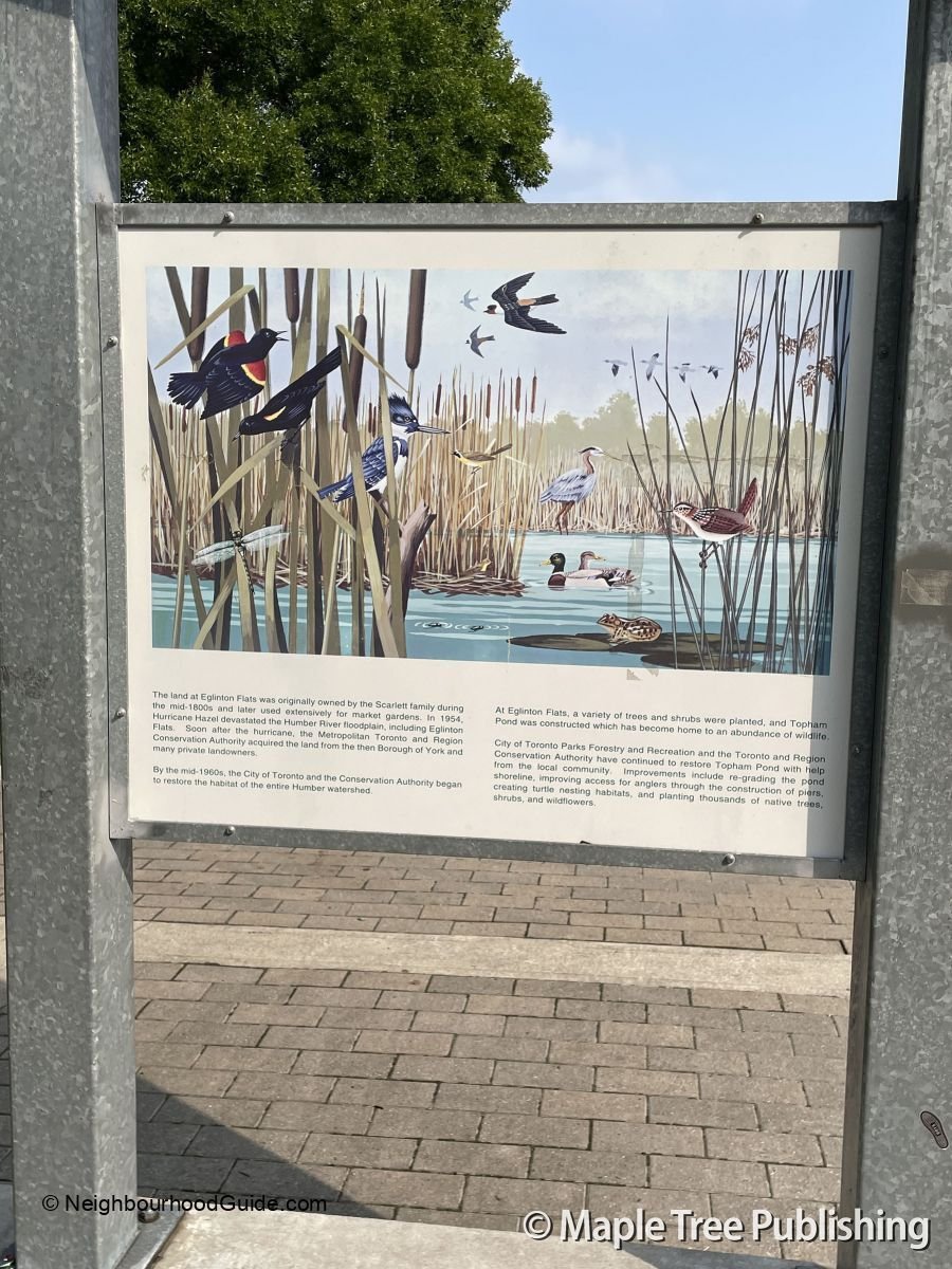 Mount Dennis - Neighbourhood Guide