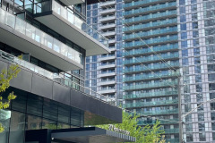 North Toronto - Neighbourhood Guide