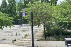 Parkdale - Neighbourhood Guide