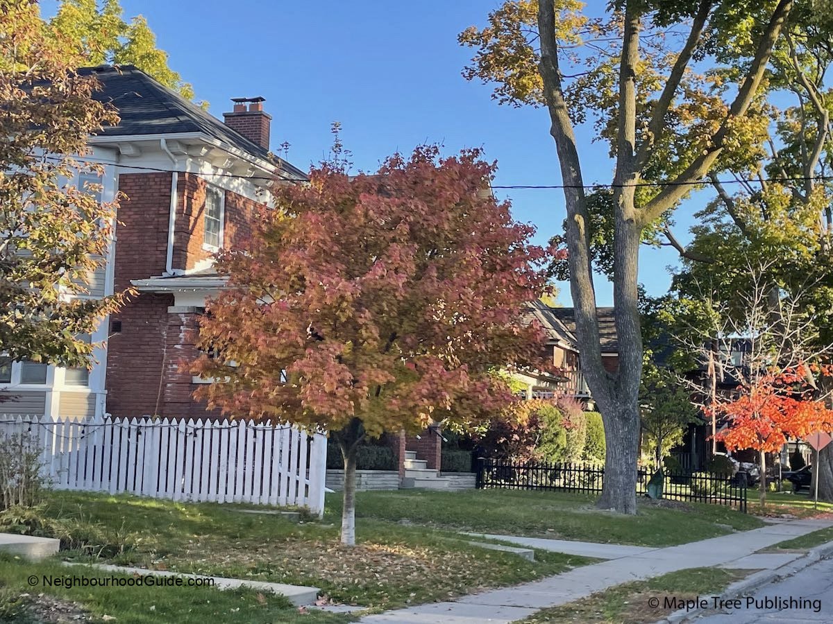 Weston - Neighbourhood Guide