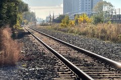 Weston - Neighbourhood Guide