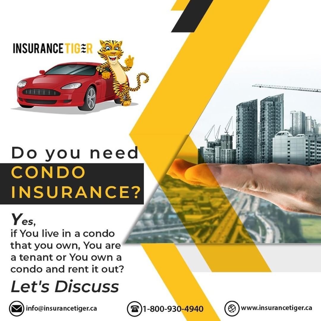 Insurance Tiger - Neighbourhood Guide